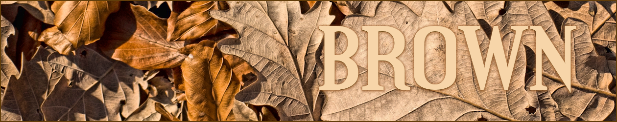 Heraldry: Brown | Closet Skeleton Genealogical Society