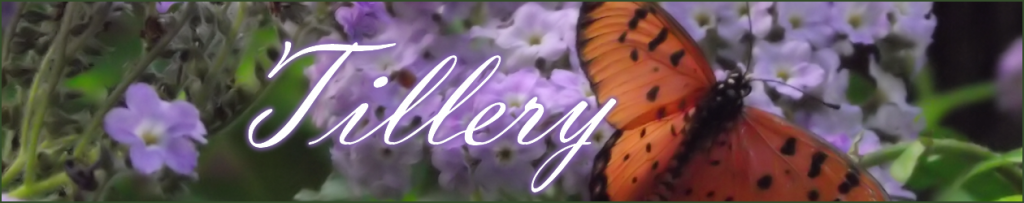 Heraldry: Tillery | Closet Skeleton Genealogical Society