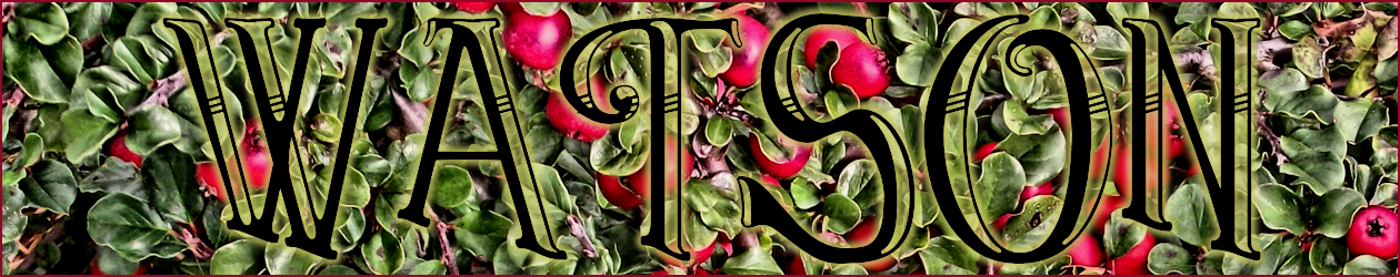 Heraldry: Watson | Closet Skeleton Genealogical Society